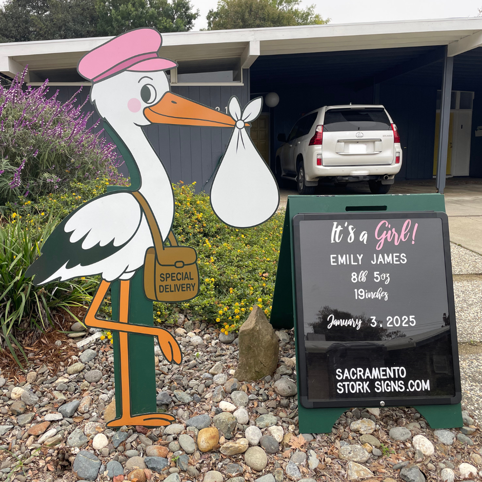 Shop Stork Sign Rentals – Sacramento Stork Signs